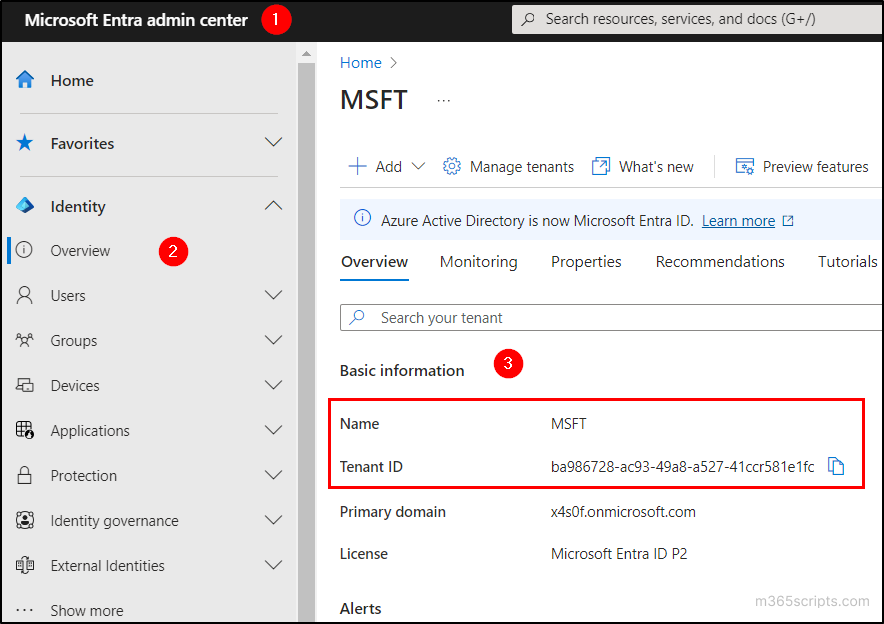 How to Find Microsoft 365 Tenant GUID and Name